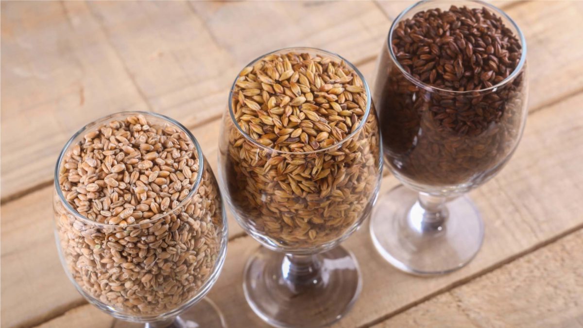 La malta, la revolución del mercado mundial de las bebidas - Logimarex